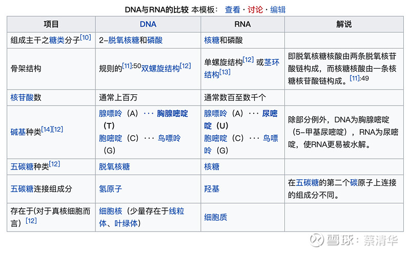 一文看懂RNA核糖核酸 摘要核糖核酸（英语：ribonucleic acid，缩写：RNA），是一类由核糖核苷酸通过3',5'-... - 雪球