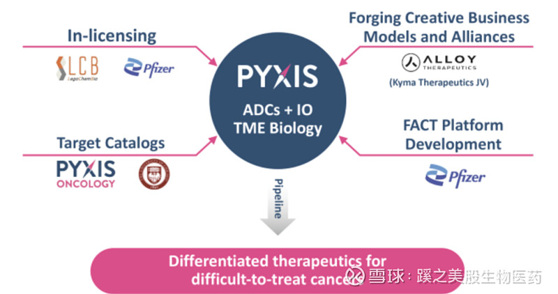 IPO早知道 | Pyxis Oncology：ADC公司申请IPO上市 作者：Wenjing 微信公众号：蹊之美股生物医药 ...