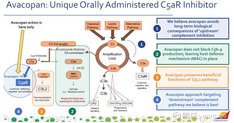 C5a通路成药已实现-FDA首次批准C5a靶点治疗药物上市（转） Chemocentryx 与C5aR2021年10月8日 ...