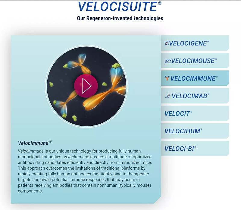 再生元创新EGFRvIII ADC，旁观者效应才是抗肿瘤王道？ 声明： 因水平有限，错误不可避免，或有些信息非最及时，欢迎留言指出。本文仅作 ...
