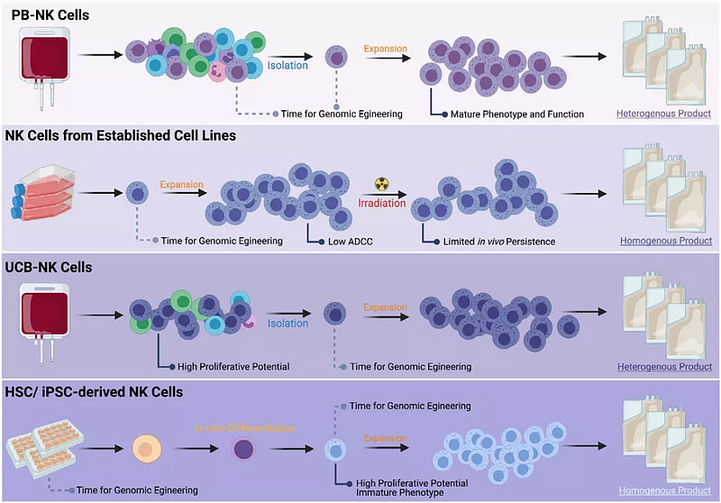 CAR-NK四种细胞来源及优缺点 和CAR-T细胞不同，NK细胞生命周期短，体内扩增受限，因而提高了其安全性，即使是异体细胞过继治疗，也相对安全，几乎不发... - 雪球