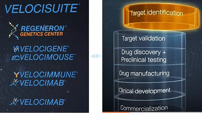 再生元再生之路 成立于1988年的 再生元制药 ，2020年产品收入55亿美元（总收入85亿美元），在 全球制药 企业TOP50中排行第 ...