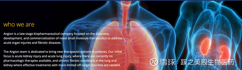 BioNews | Angion：ANG-3777的III期试验未达到主要终点,针对有移植... 作者：林出 微信公众号：蹊之美股生物医药 ...