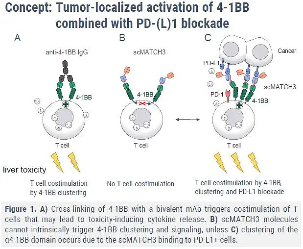 赛道竞争激烈，德琪医药PD-L1/4-1BB双抗药物获得FDA批准 原文链接10月31日， 德琪医药 宣布，FDA批准了该公司的PD-L1/4-1BB双抗ATG-101的IND申请，此次I ...