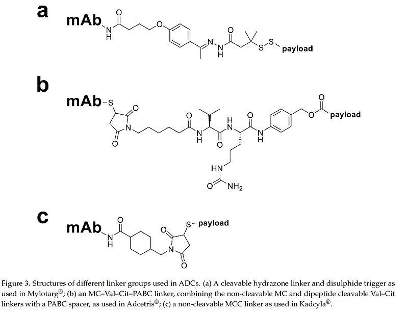 ADC药物：靶点选择与耐药机制 抗体偶联药物(antibody-drug conjugate，ADC)是用一个连接子将高靶向性的抗体分子与高 ...