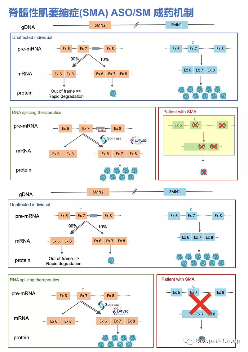 RNA药物优势，挑战与展望 概览RNA Therapeutics 可以分为3个Modality：寡核苷酸 Oligonucleotide ...