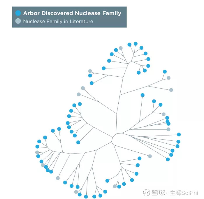 拥有业内最全基因编辑工具，张锋新公司获超2亿美元融资 日前，基因编辑公司 Arbor Biotechnologies 宣布完成 2.15 亿 ...