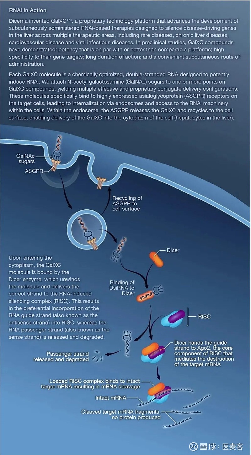 诺和诺德33亿美元大手笔收购Dicerna，RNAi领域再起波澜丨医麦猛爆料 医麦客近期热门报道 ★邀请函丨2021 CSGCT 基因与细胞 ...