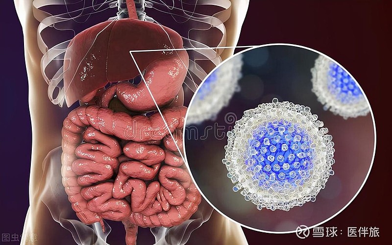 不用担心甲流了？FDA批准甲流疫苗，保护期超六个月 甲型流感（H5N1）病毒是一种高致病性禽流感病毒，起源于家禽和野生鸟类，可传染给人类 ...