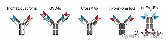 肿瘤治疗之双特异性抗体 点击上方的 行舟Drug 添加关注 肿瘤治疗之双特异性抗体 一、双特性抗体简介 双特异性抗体（BsAb）又称双功能 ...