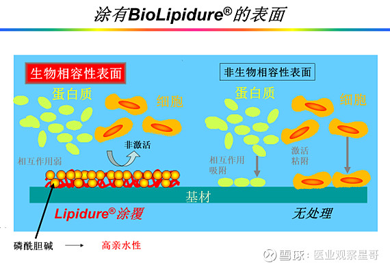 11月30日高灵敏度添加剂"Biolipidure"线上课程 | 报名即可参与幸运抽奖 点击关注我们 有观点，有态度11/30线上课程 实现高 ...