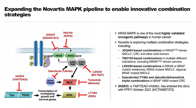 诺华公布最新研发管线：哪些在研新药值得关注？ 药明康德 内容团队编辑今日，在研发日活动上，诺华（Novartis）公司高管介绍了该公司的最新 ...