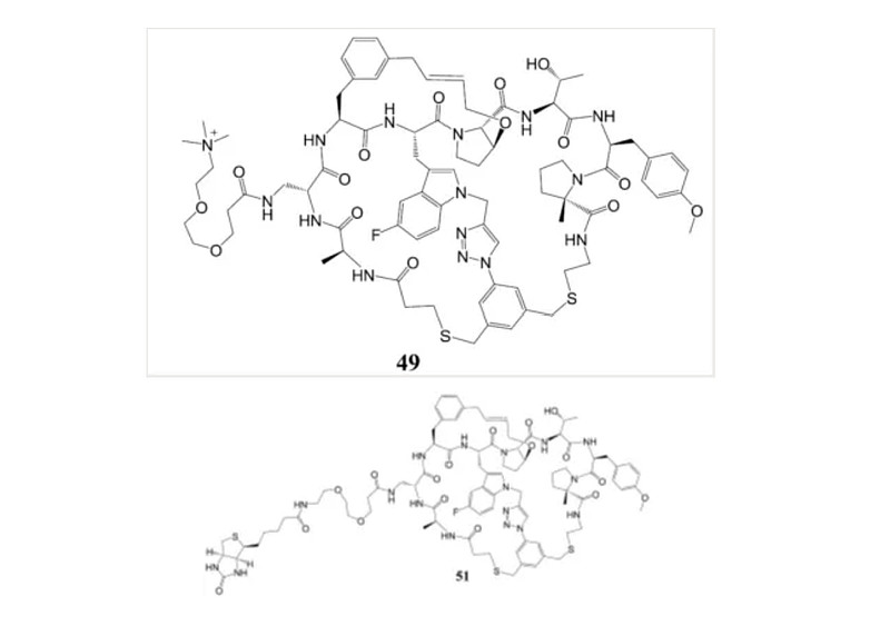 【PCSK9】专访宁康瑞珠创始人熊豫生博士 在近日结束的AHA年会上， 默沙东 公布了其口服PCSK9环肽抑制剂MK-0616的临床结果。在 ...