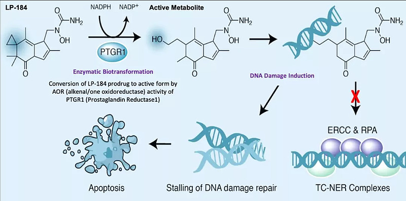 厉害了！这家公司的License in玩出了新境界 12月7日，欧洲生物制药公司Emergence Therapeutics 宣布完成8700万欧元A轮融资，用于推进新型抗... - 雪球
