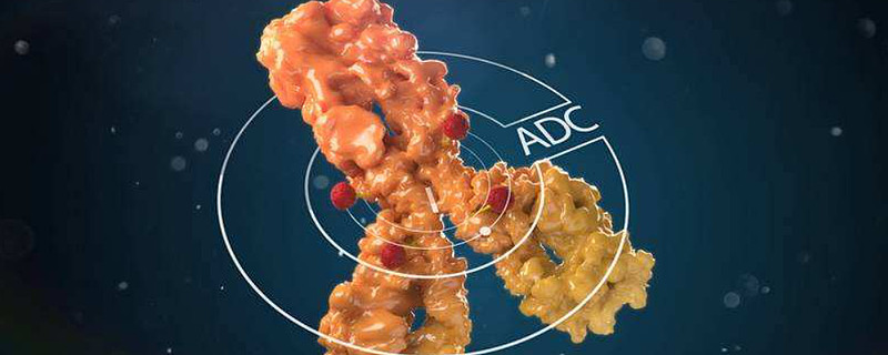 ADC药物分子设计的基本考虑 肿瘤细胞与正常细胞最根本的区别，在于它的原癌基因或抑癌基因发生了突变，这些突变有可能导致其产生肿瘤特异性抗原 ...