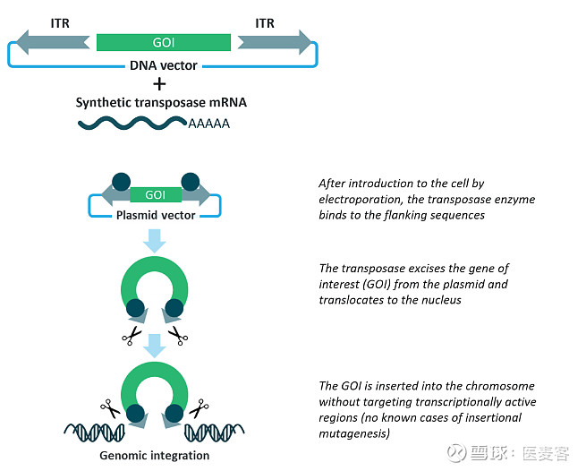 持久安全！新型“同种异体”CAR-CIK细胞疗法公布临床积极数据丨医麦猛爆料 2021年11月17日/医麦客新闻 eMedClub News/--近日，临床阶段的免疫肿瘤学公司CoImmune ...