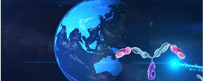 嘉和生物在澳大利亚提交EGFR/cMET/cMET三特异性抗体(GB263T)临床试验申请 2021年12月22日， 嘉和生物 （股票代码 ...