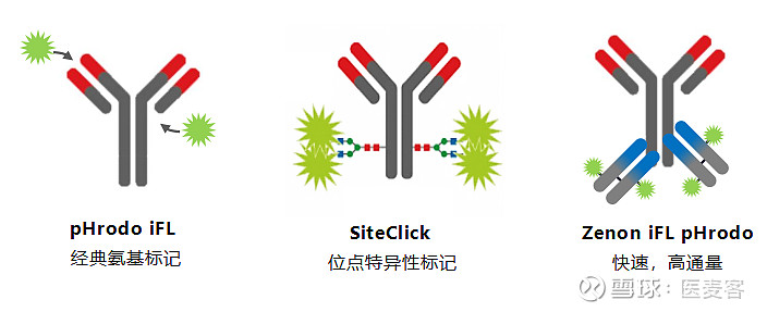 如何辅助ADC研发“精准制导” 医麦客近期热门报道 ★干细胞鉴定必收藏，围观赛默飞火眼金睛“识”干细胞 ★“睡美人”CAR-T疗法治疗急性髓系 ...