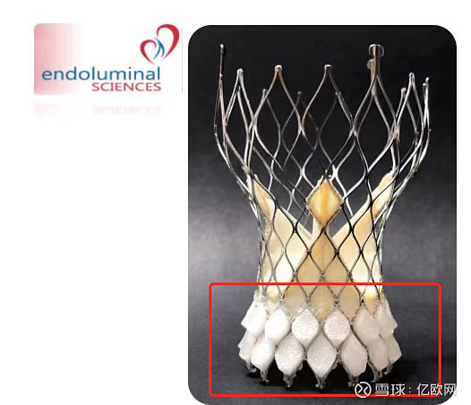 下一代TAVR技术在哪里？ 上周TAVR江湖可谓风云际会，英雄辈出。先是国内瓣膜老大哥启明两款新一代TAVR产品Venus Vitae ...