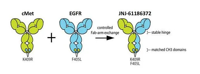 c-Met ADC获FDA突破性疗法认定,cMet/EGFR双抗I期数据上市 ——前言——最无聊的时间就是等飞机等高铁的时刻了，百无聊赖，不如写点自己以前就特别想写的东西。我一直以来的脑海中 ...