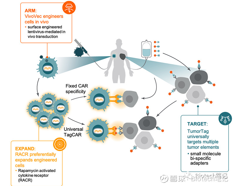 In Vivo CAR-颠覆细胞治疗的下一代技术-Sana、Ixata、Umoja、以及宾大的技术路线 最近宾夕法尼亚大学Dr. Drew ...