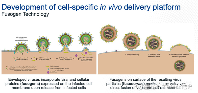 In Vivo CAR-颠覆细胞治疗的下一代技术-Sana、Ixata、Umoja、以及宾大的技术路线 最近宾夕法尼亚大学Dr. Drew ...