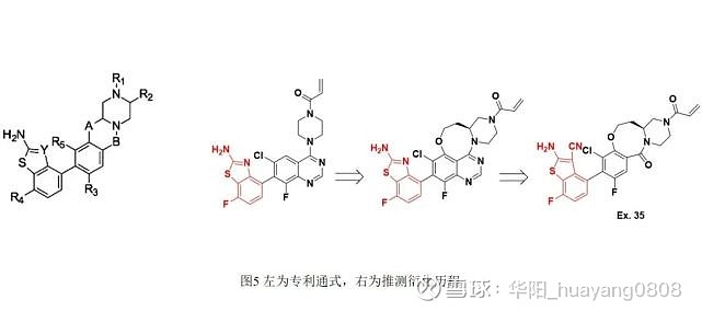 “窥探”各大名企的KRAS G12C专利：万变不离其宗，需谨防撞车 “窥探”各大名企的KRAS G12C专利：万变不离其宗，需谨防撞车关注要论 ...