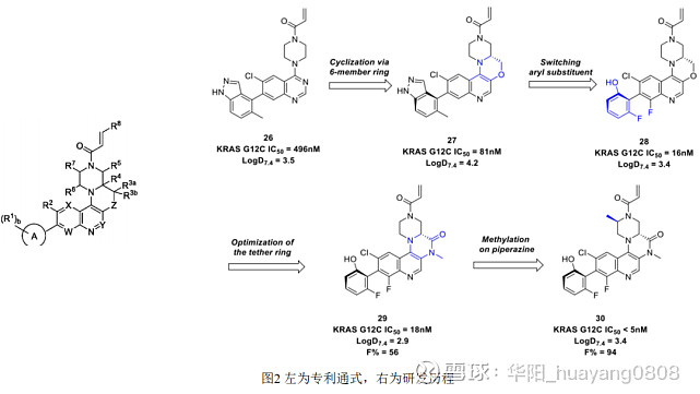 “窥探”各大名企的KRAS G12C专利：万变不离其宗，需谨防撞车 “窥探”各大名企的KRAS G12C专利：万变不离其宗，需谨防撞车关注要论 ...