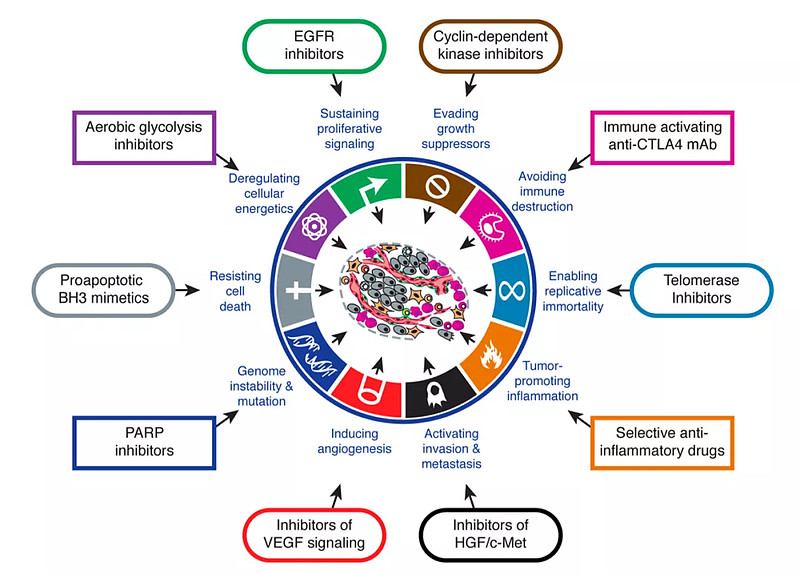 顶刊封面 | Cancer Discovery：癌症的特征！经典必读综述 2022年1月《Cancer Discovery》（IF：39. ...
