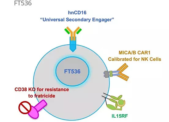 iPSC衍生创新CAR-NK疗法步入临床，靶向实体瘤前沿靶点 药明康德 内容团队编辑近日，Fate Therapeutics 公司宣布，美国FDA已批准FT536的IND申请。F... - 雪球