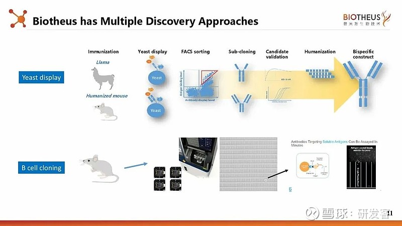普米斯：抗体研发平台+CAB-T细胞治疗平台 | JPM 2022 在第40届 摩根大通 医疗健康 年会期间，普米斯（Biotheus）创始人 ...