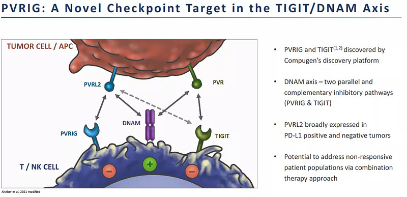 全球首家！恒瑞启动CD112R/TIGIT双抗临床 1月20日，药物临床试验登记与信息公示平台显示， 恒瑞医药 登记了CD112R/TIGIT ...