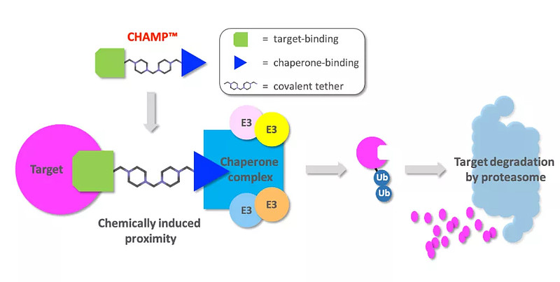珃诺生物蛋白质降解剂获FDA批准临床用于晚期实体瘤和淋巴瘤 1月24日，珃诺生物宣布FDA已经批准该公司的研究性新药申请（IND），获批药物是 ...