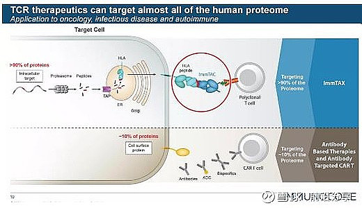 针对眼科葡萄膜黑色素瘤！FDA批准首款TCR疗法 1月26日， Immunocore 宣布FDA批准其双特异性融合蛋白Kimmtrak（tebentafusp-tebn）... - 雪球