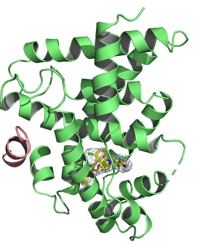 新型FXR激动剂，凯思凯迪1类新药在中国获批临床 药明康德 内容团队报道中国国家药监局药品审评中心（CDE）官网最新公示，凯思凯迪申报的1类新药CS0159口服片剂已... - 雪球