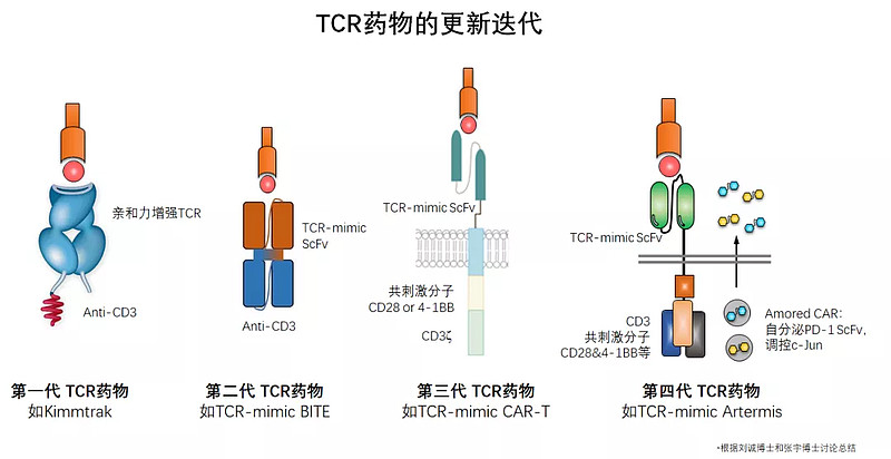 写意对话丨全球首个TCR药物获批，对未来细胞治疗新靶点筛选有哪些启发？ 1月27日， Immunocore 宣布，美国FDA已批准其创新疗法Kimmtrak（tebentafusp-tebn ...