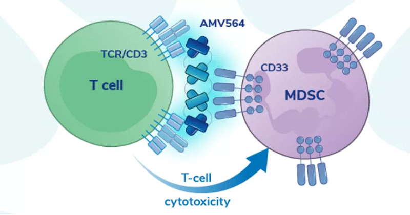 柏思荟研究报告 | 靶向CD33药物在研现 01 CD33与AML白血病严重地困扰着人们的生活，威胁着人类的生命。白血病在我国的发病率约为3-4人/10万人，在美国... - 雪球