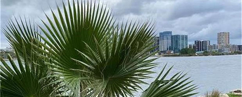 AVZ加速引入中国锂矿产业投资 天华时代2.4亿美元预计3月到位 ACB News《澳华财经在线》2月17日讯 AVZ Minerals ...