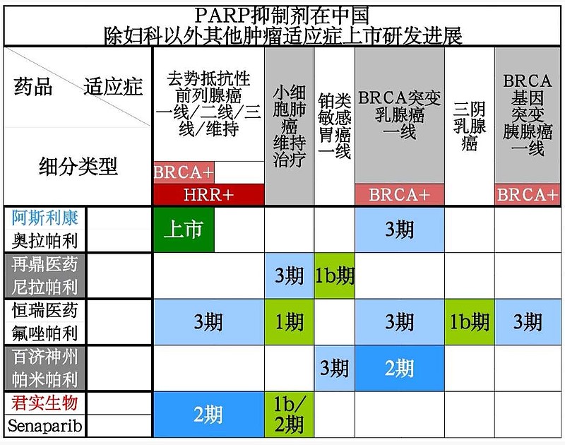 君实生物PARP+替莫唑胺治疗小细胞肺癌Ⅰb/Ⅱ期临床试验获批 $君实生物-U(SH688180)$ /英派药业PARP抑制剂 ...