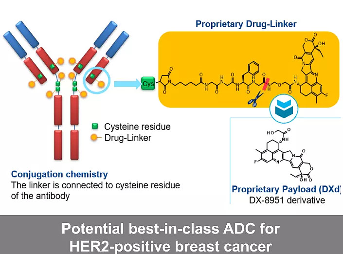 再突破！阿斯利康/第一三共重磅ADC治疗HER2低表达转移性乳腺癌III期研究成功 2月21日， 阿斯利康 /第一三共宣布关键III期DESTINY-Breast04临床试验获得高水平积极结果 ...