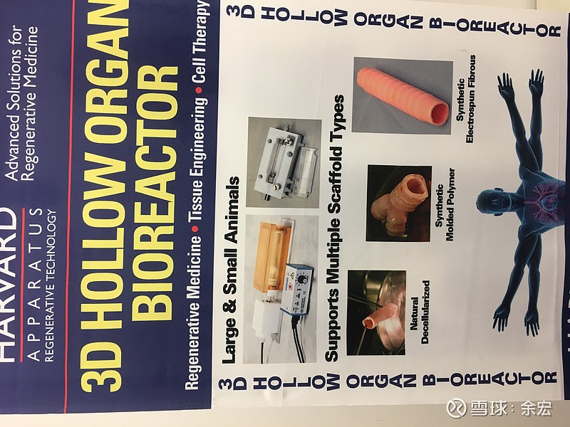 $Biostage(BSTG)$ Biostage 的前身是Nasdaq 上市公司Harvard Bioscience（... - 雪球