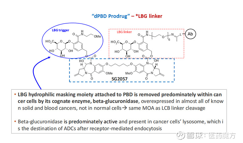 国内首款！基石药业ROR1 前药ADC申报临床 3月3日，CDE官网显示， 基石药业 注射用CS5001的临床试验申请获受理。这是一款靶向酪 ...