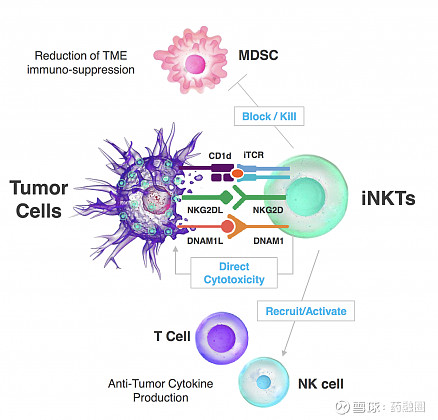Agenus：创新iNKT细胞疗法完成首例受试患者给药 声明： 因水平有限，错误不可避免，或有些信息非最及时，欢迎留言指出。本文仅作 医疗健康 相关药物介绍，非治疗方案推荐（若... - 雪球