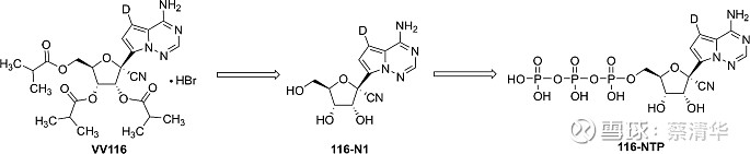VV116（一种针对 SARS-CoV-2 的口服核苷类似物）在中国健康受试者中的安全性、耐受性和药代动力学 来源：自然杂志钱洪杰,王宇,张梦 ...