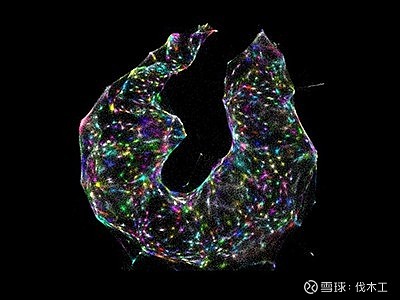 Spatial Genomics:荧光原位测序 (FISSEQ) 揭示染色体轮廓，一次一个点将成像与测序相结合的方法正在揭示基因组的组织原理 ...