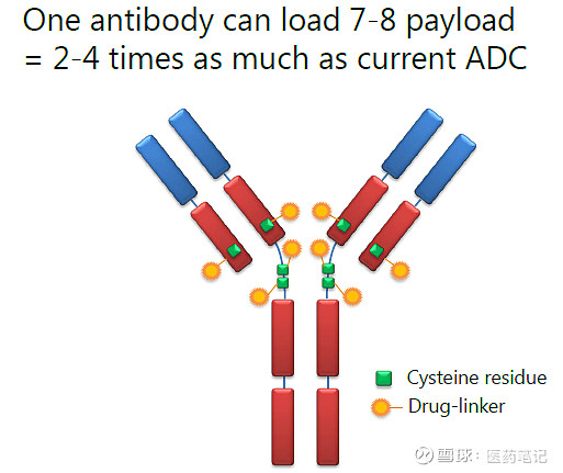 DS-8201中国申报上市 2022年3月21日，第一三共HER2 ADC新药Trastuzumab Deruxtecan（DS-8201）的上市申... - 雪球