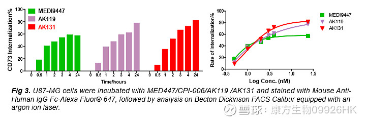AACR 特辑|康方生物发布PD-1/CD73双抗（AK131）临床前研究结果 CD73是肿瘤发生发展中的关键调控因子，可调控肿瘤侵袭及转移 ...