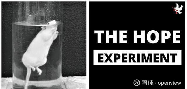 很容易产生丰富联想的一篇文章：一位博士把老鼠扔进水桶，看能多久不死，残忍却成著名实验1950年代，美国哈佛大学的一位著名... - 雪球
