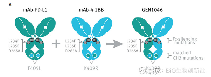 汇总丨4-1BB单/双抗项目进展 图1. T细胞激动受体与抑制受体除了聚焦以PD-1/PD-L1、LAG-3等为代表的免疫检查点以外，也有不少 ...