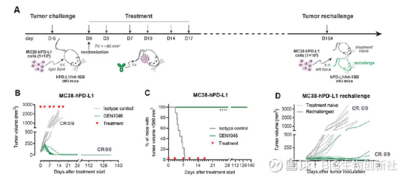 汇总丨4-1BB单/双抗项目进展 图1. T细胞激动受体与抑制受体除了聚焦以PD-1/PD-L1、LAG-3等为代表的免疫检查点以外，也有不少 ...